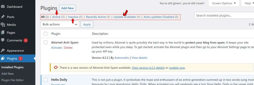 How to Install WordPress Plugins? Easy Tutorial Guide-Space30